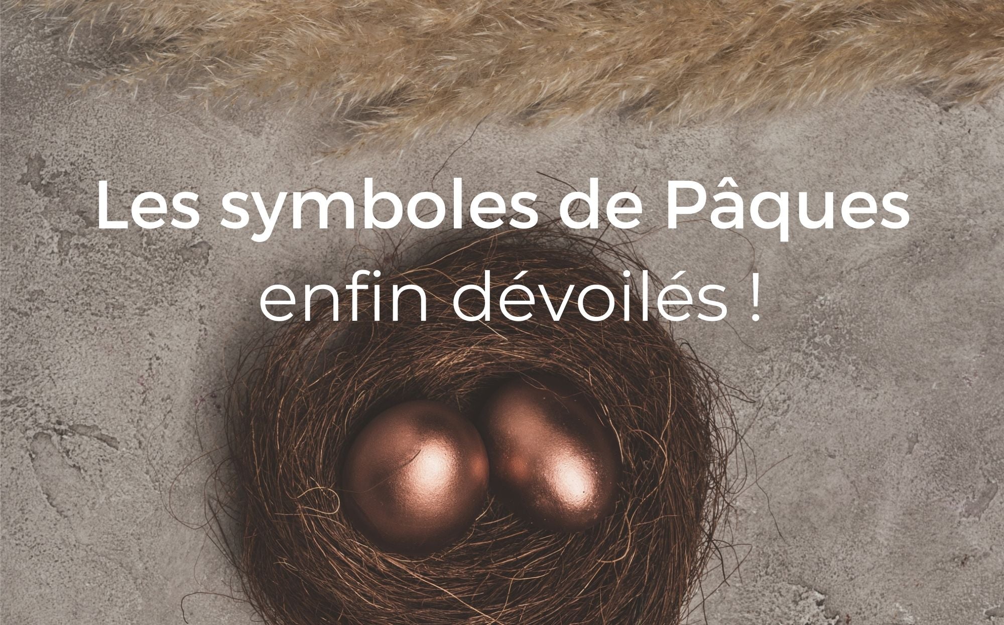 Les symboles de Pâques enfin dévoilés ! – Raconte Moi un Chocolat