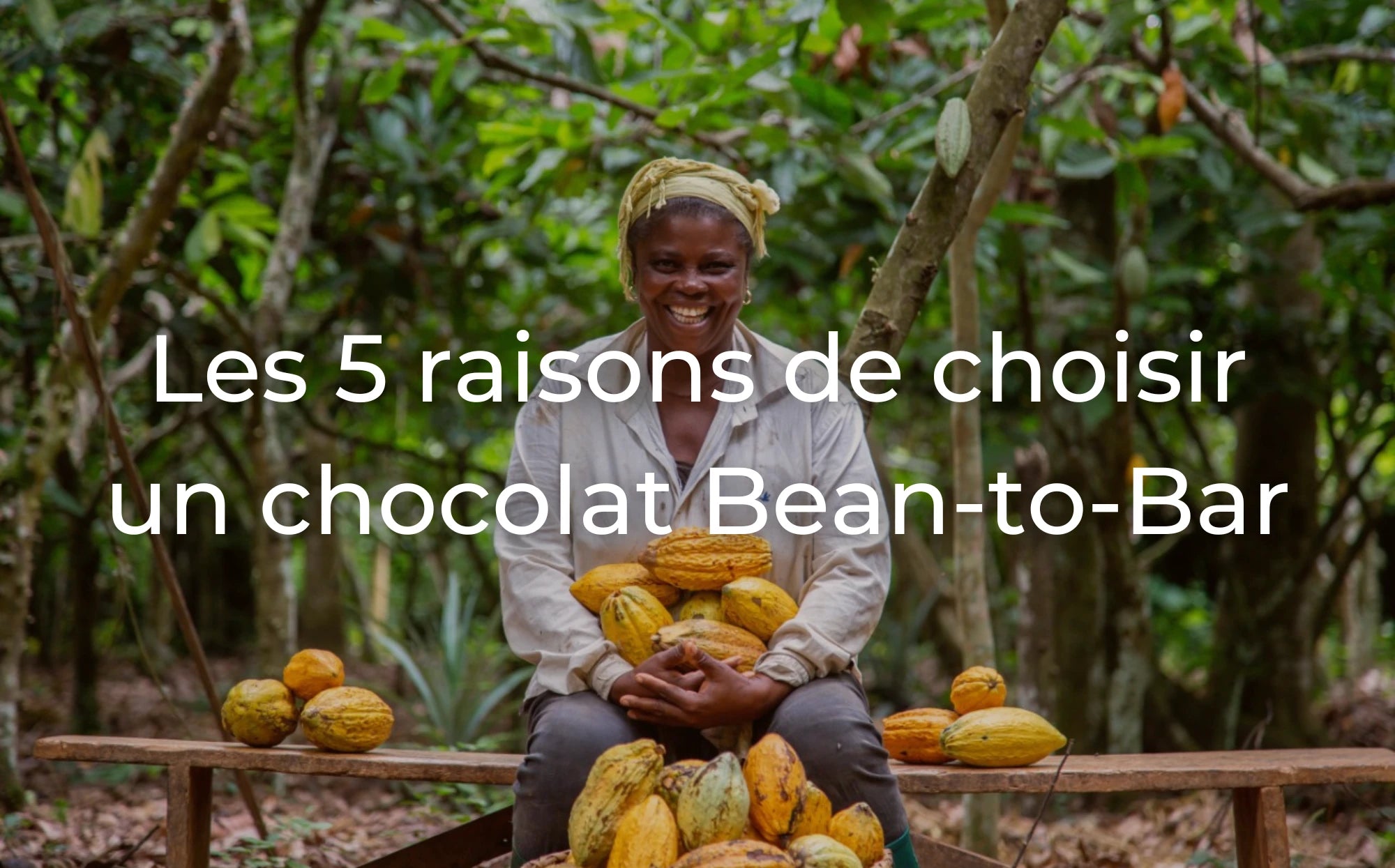 Les 5 raisons pour lesquelles vous devriez choisir un chocolat Bean-to ...
